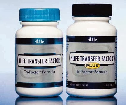 FACTORESDETRANSFERENCIA: 2013