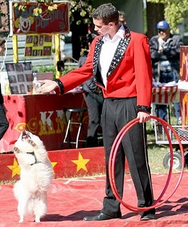 CIRCUS CITY FESTIVAL FROM PERU, INDIANA!!