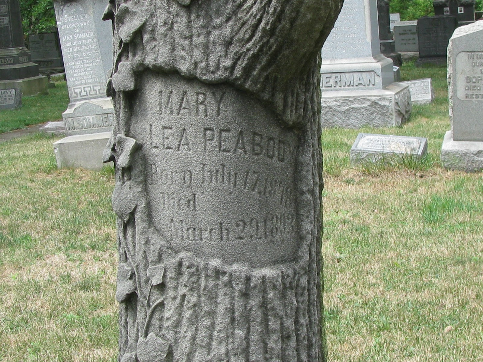 A Grave Interest: Those Amazing Tree Stones