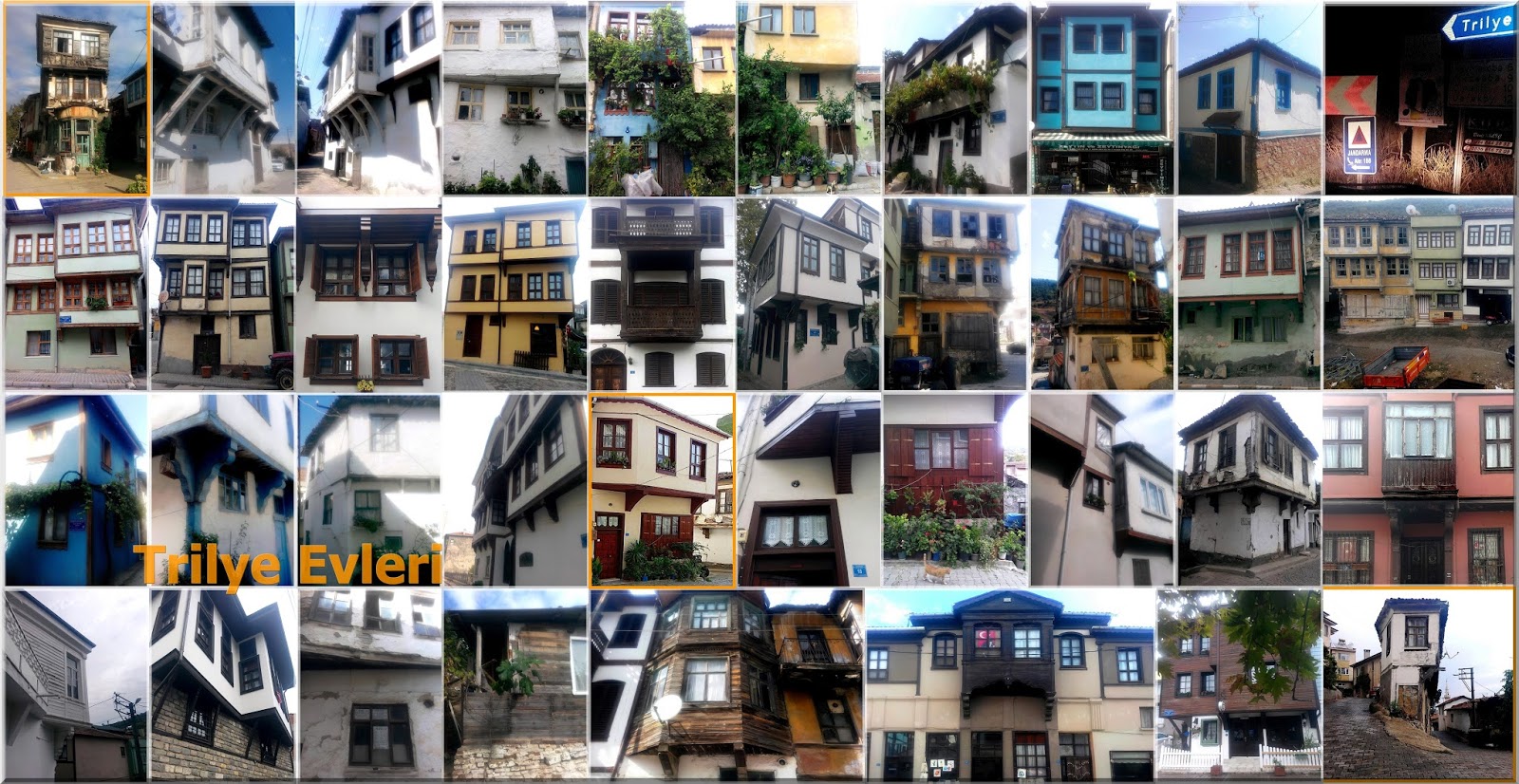 Hiçlikte Bir An: Tirilye-Trilye-Trilya-Zeytinbağı