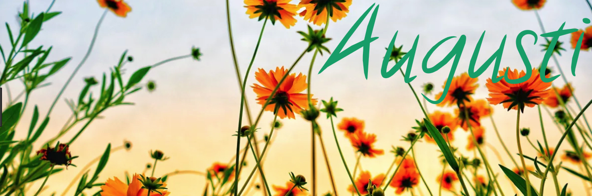 En ganska händelserik månad - Diet tips och allmän information