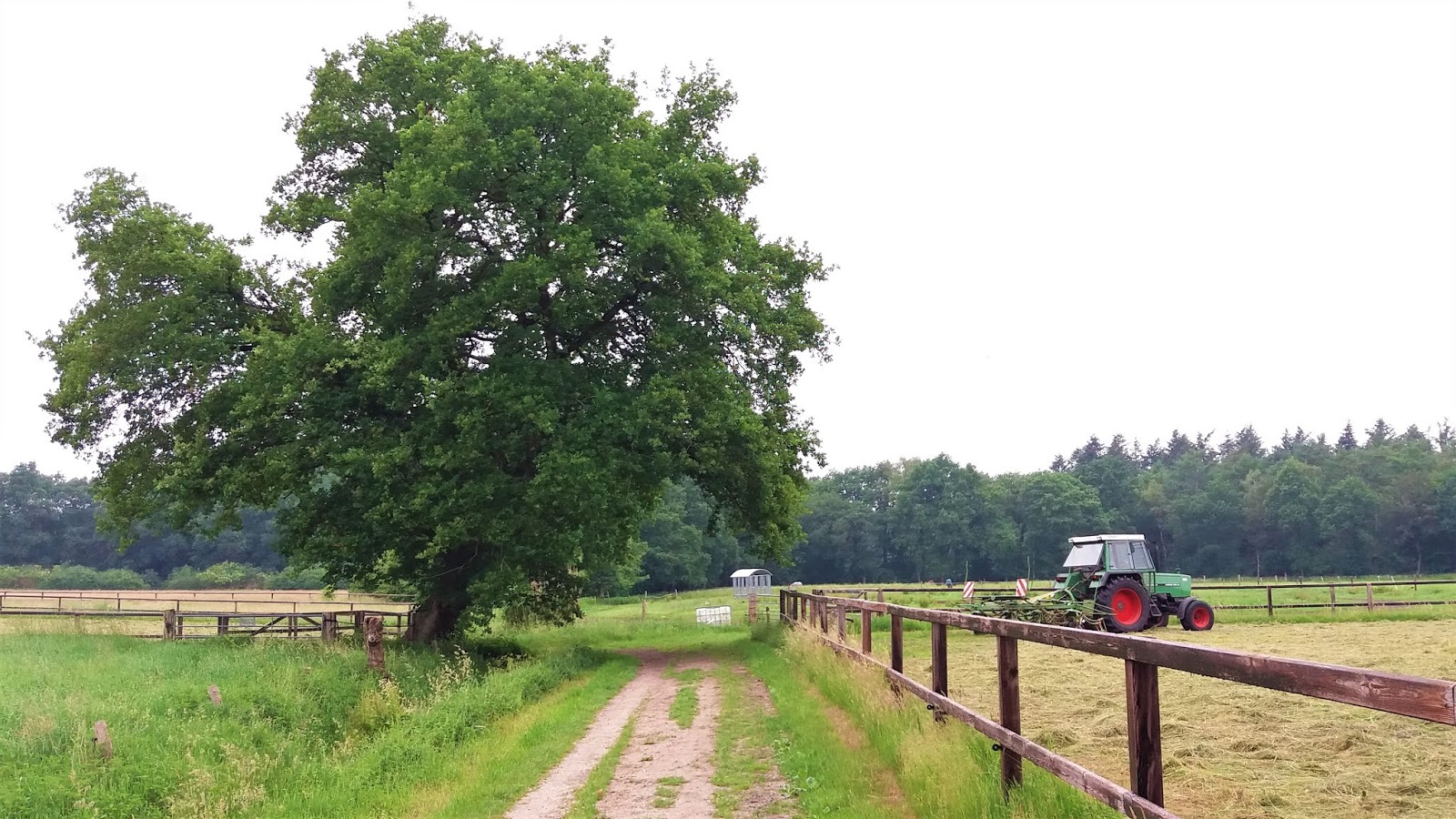 Annemieke Wandelt: 4 juni 2018 - klompenpad KopermolenPad