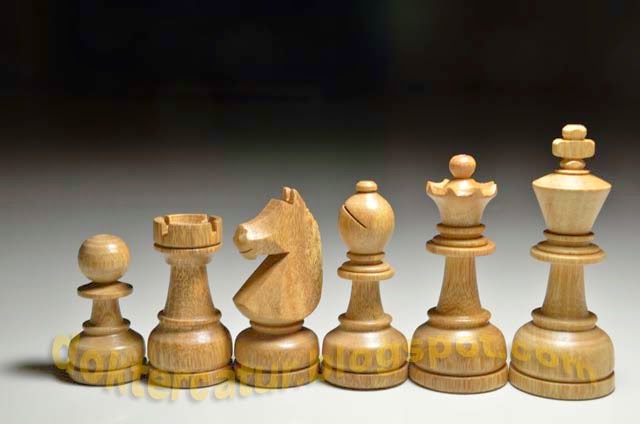 doktercatur: Menjelaskan Catur kepada anak