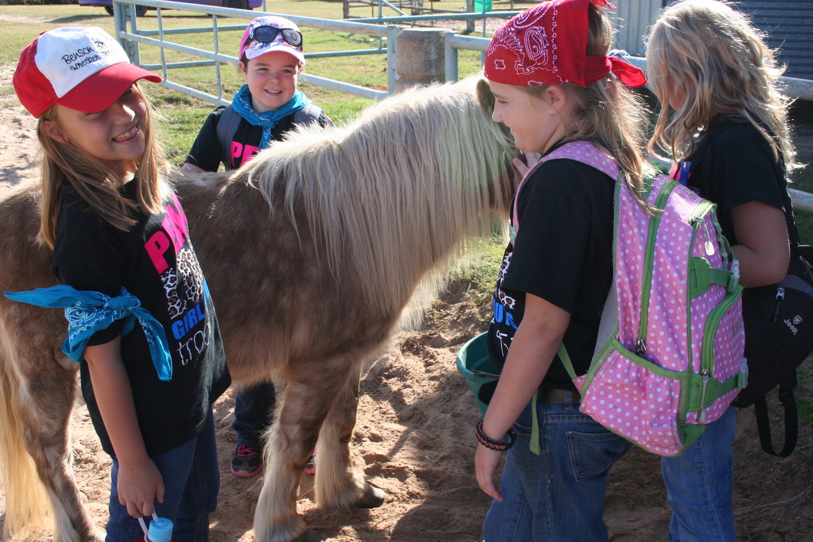 Girl Scouts: Camp Bette Perot 2012