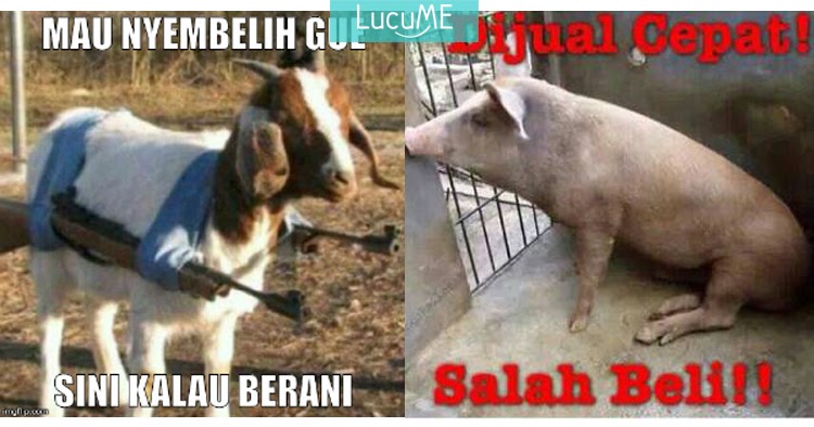 20 Meme 'Pesan Terakhir Kambing & Sapi' Ini Ceriakan Idul Adhamu - baca ...
