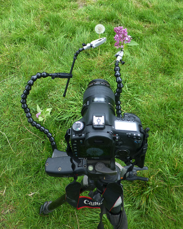 The NEW Wimberley Plamp 2, Plamp G and Plamp Extension, Chatty video ...