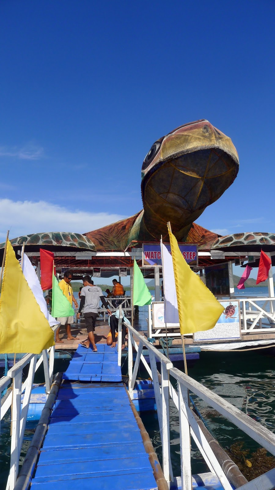 PAMBATO REEF | HONDA BAY ISLAND HOPPING TOUR - Palawan Tour Package