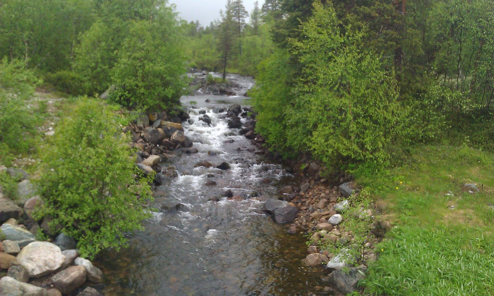 Koko Kesä Kalassa: Kesäkilpailu