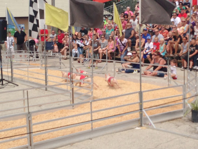 Marlo Junior: Wisconsin State Fair, Part I: Racing Pigs and Ducks