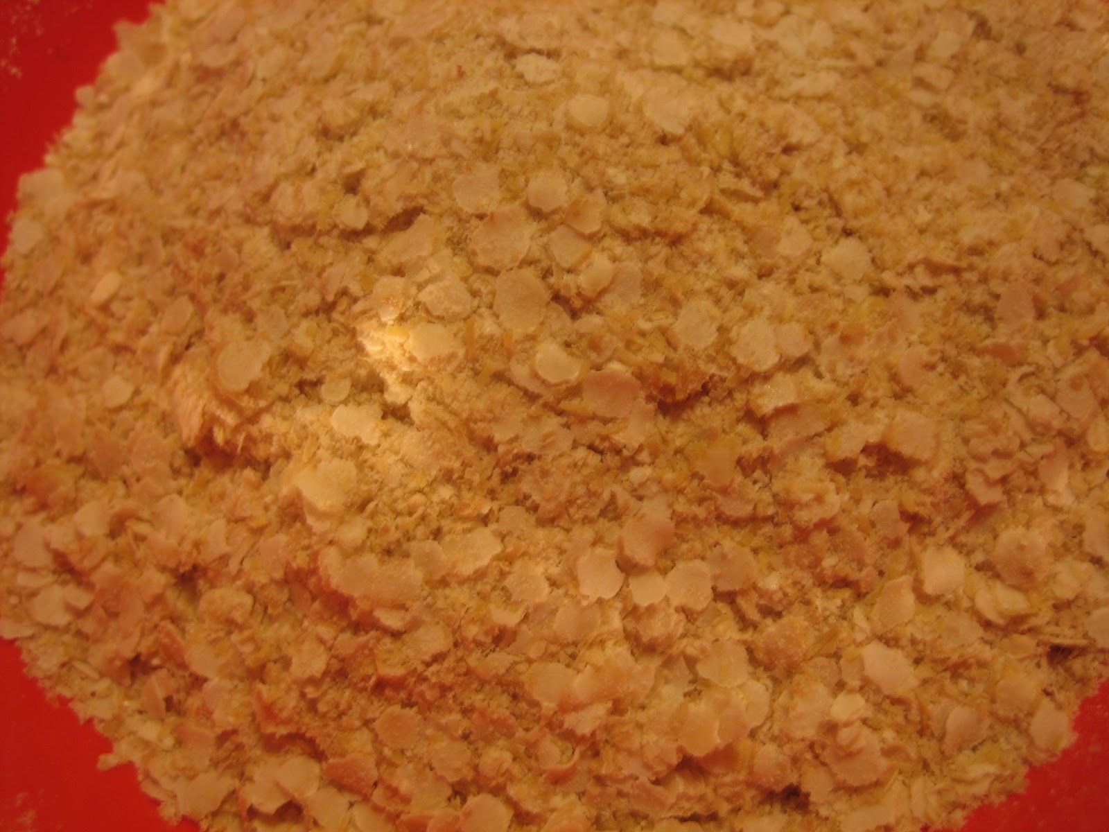 Quinoa | Discovering the Extraordinary