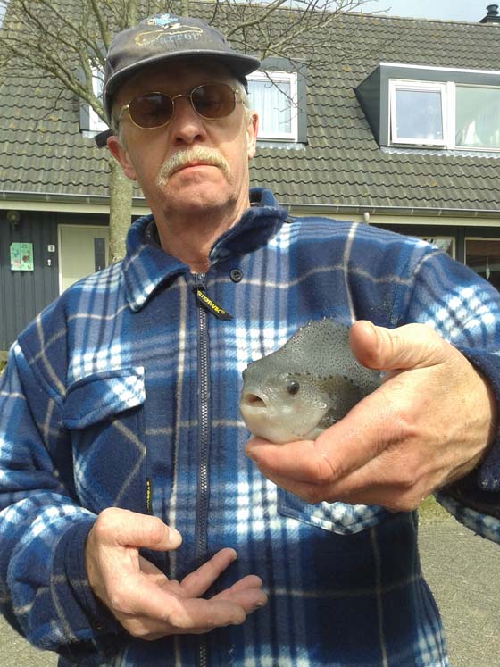 Ameland Strandvondsten: Snotolf