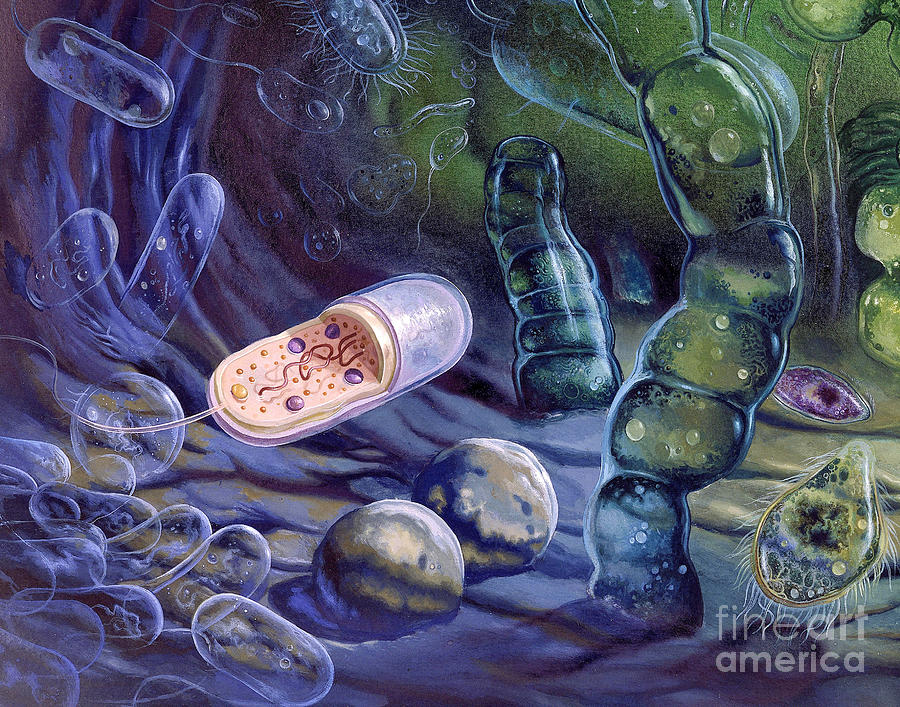 Mundo Pré-Histórico: Éon Proterozoico