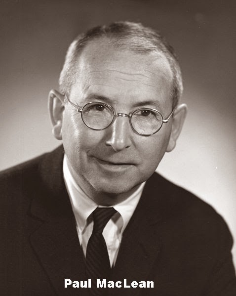 Didattica e Cervello: Paul McLean, i tre cervelli della nostra mente!