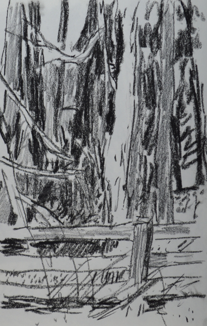 Mark and Remark: Look, See and Draw