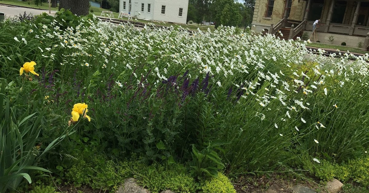 Love and Comfort Quilts: Weathervane Beauty Baby Quilt
