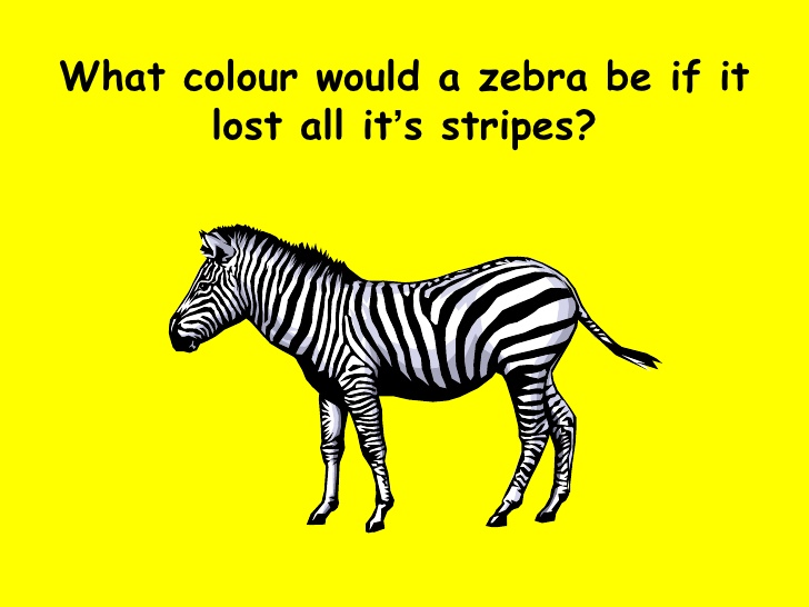 Wrotham Road Primary Blog: Thunk!