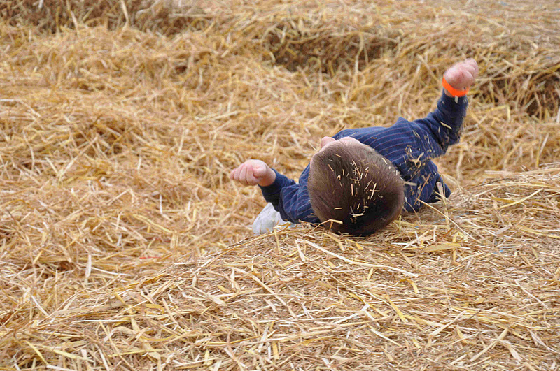 Hay Pits Are Good For...
