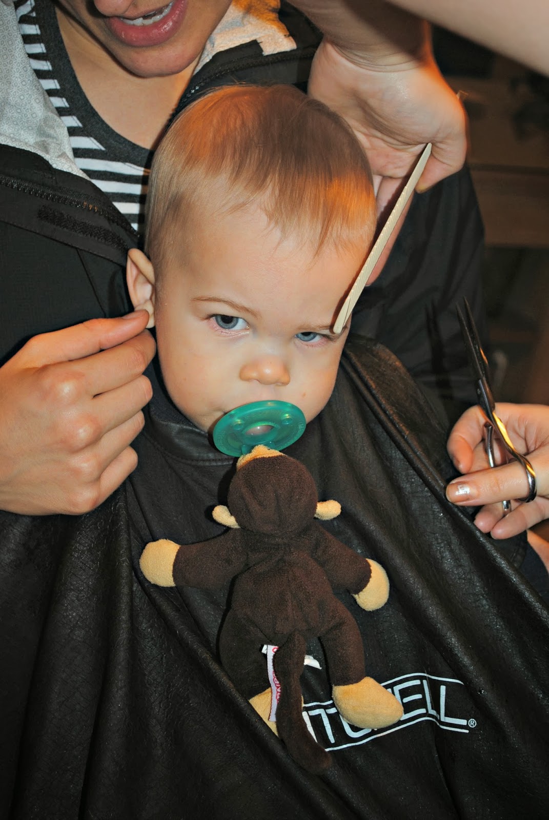 Life with Lou: Goodbye, Rat Tail Baby Mullet (First Haircut)