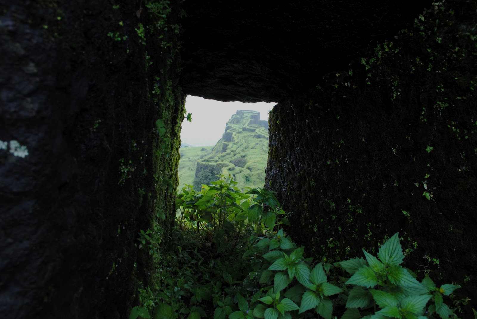 travelogue: King of Forts, Rajgad - September 16, 2012
