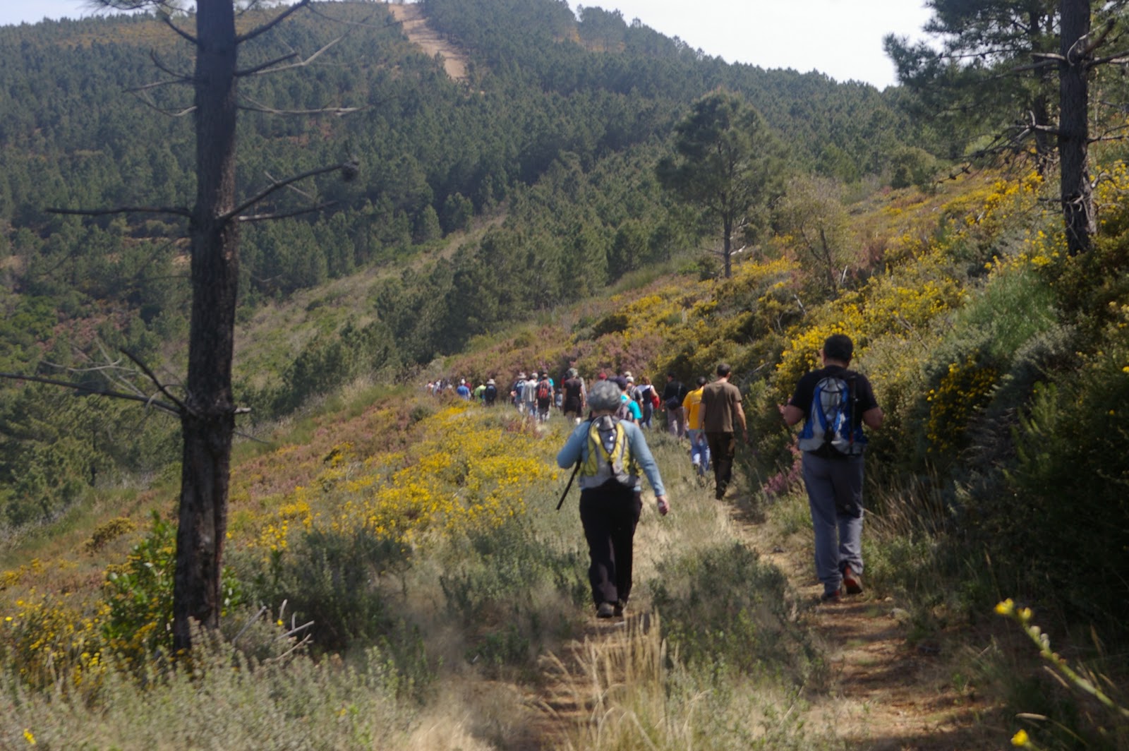 ALCAIDE - ALDEIA DA GARDUNHA: ALCAIDE - POSSÍVEIS ORIGENS