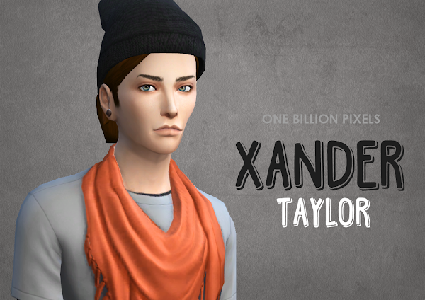 Sim Dump - One Billion Pixels