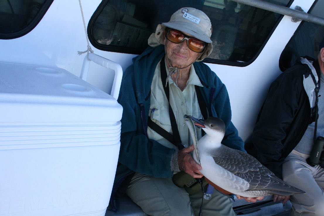 Keith Mueller Bird Carvings: Sea Bird Decoys 1 (Test)