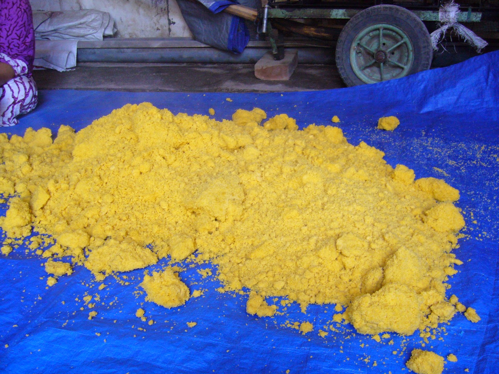 GERIT JAGUNG " ONTHEL