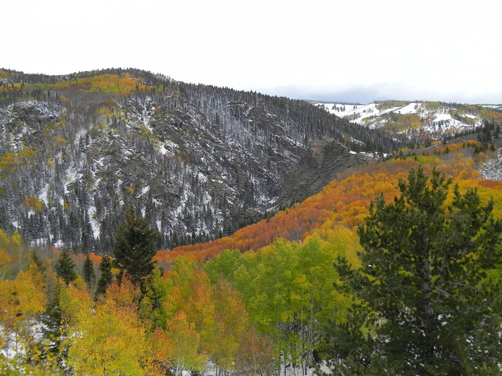 Cumbres & Toltec Scenic Railroad