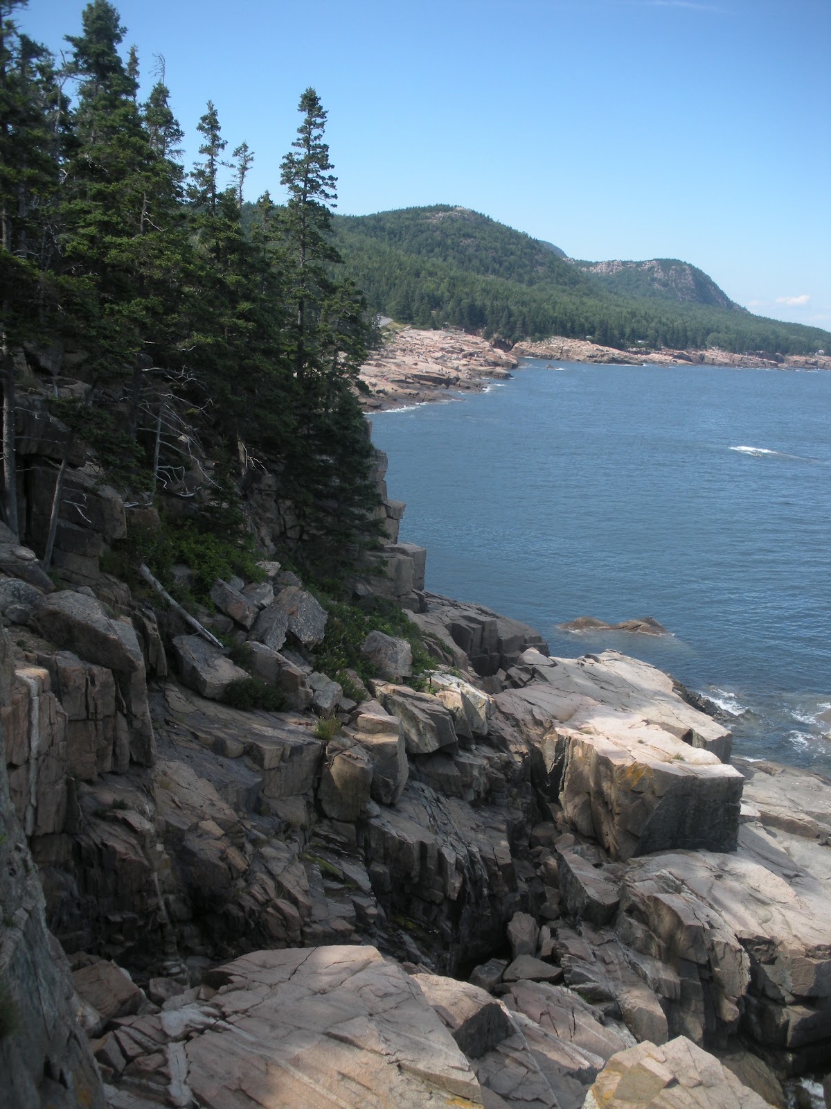 Acadia: A Panoramic Perspective | Rajdeep Paulus