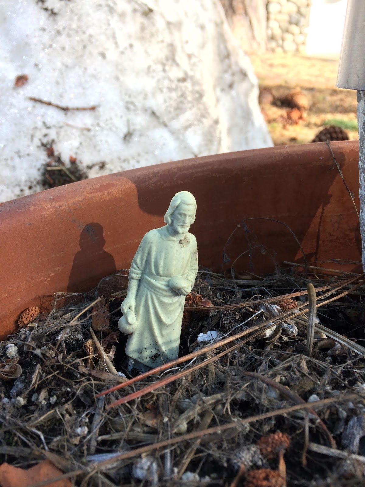 Jesus In A Flower Pot | InnerConstellation.com