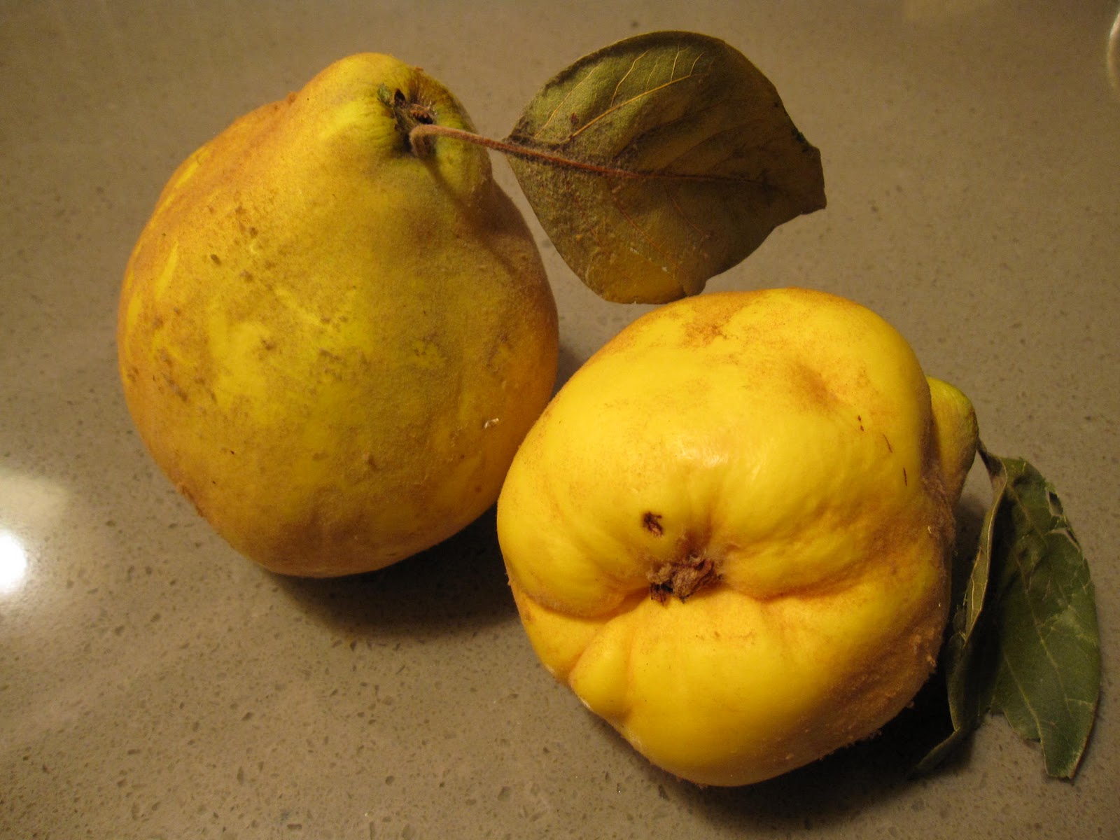 Kitchenkapades: Ooo la la Quince Marmalade...Beautiful inside and out!