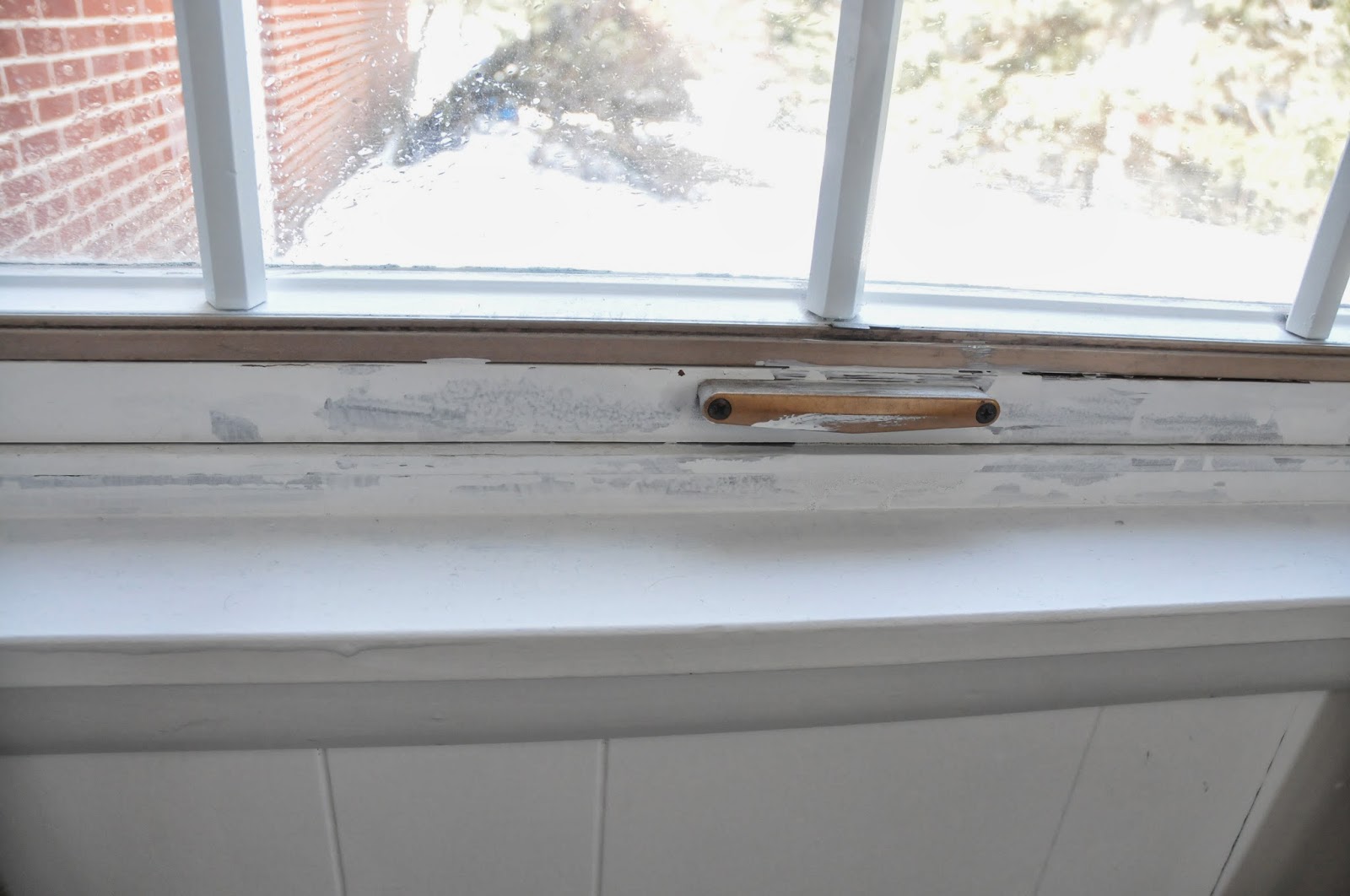 plum tree place: Window Reveal