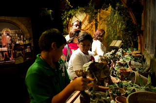 The Spell-binding Harry Potter Exhibition at ArtScience Museum