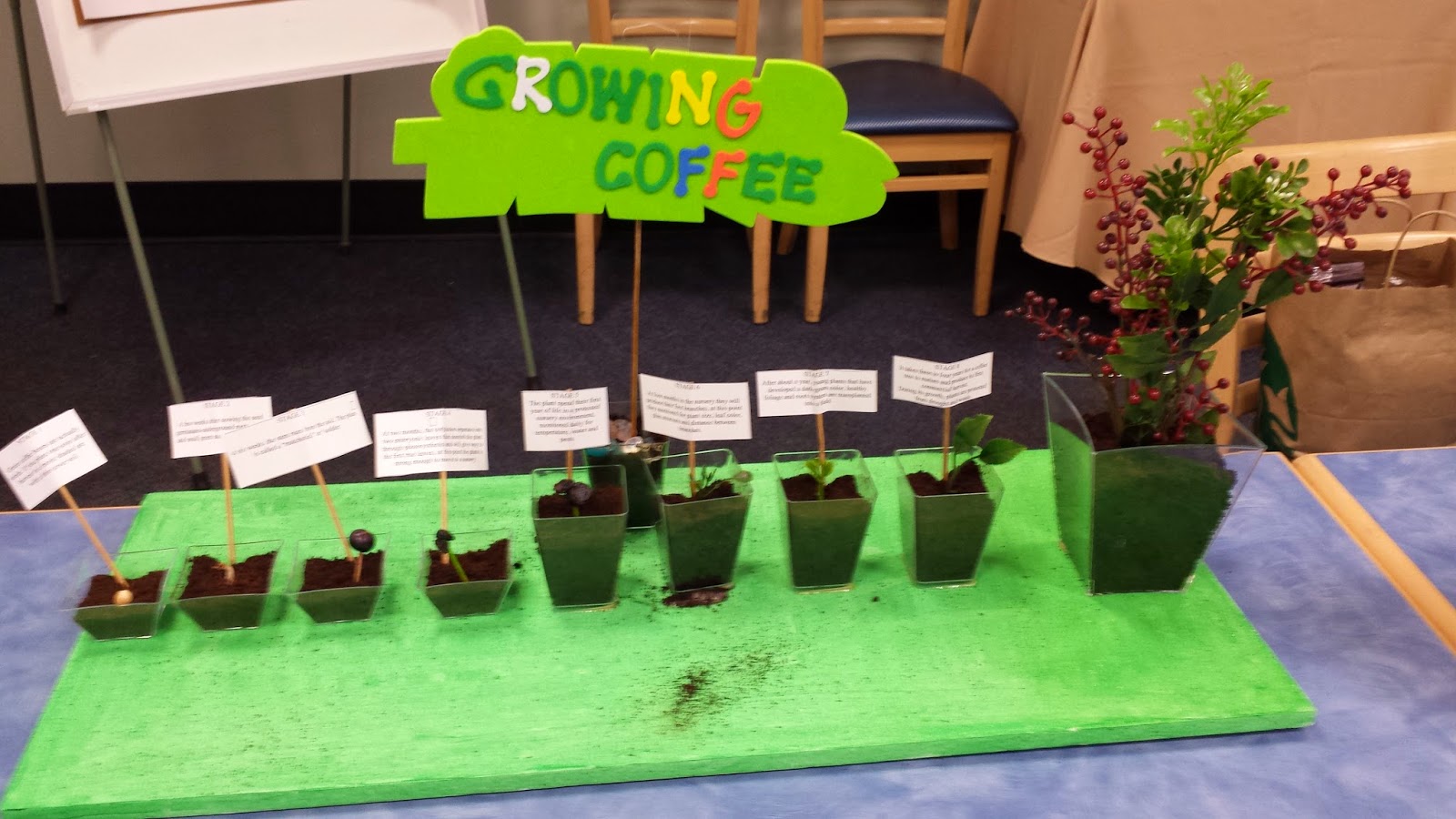 Welcome Coffee Masters!: Starbucks Coffee Master Class February 27, 2015