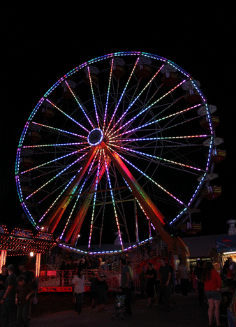 love, laurie: the wayne county fair