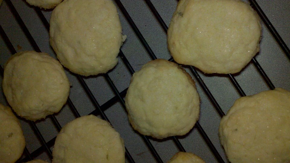 ramblingstump: Lime Coconut Sugar Cookies