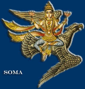 Símbolos, Mitos y Arquetipos: El Soma y sus misteriosos significados ...