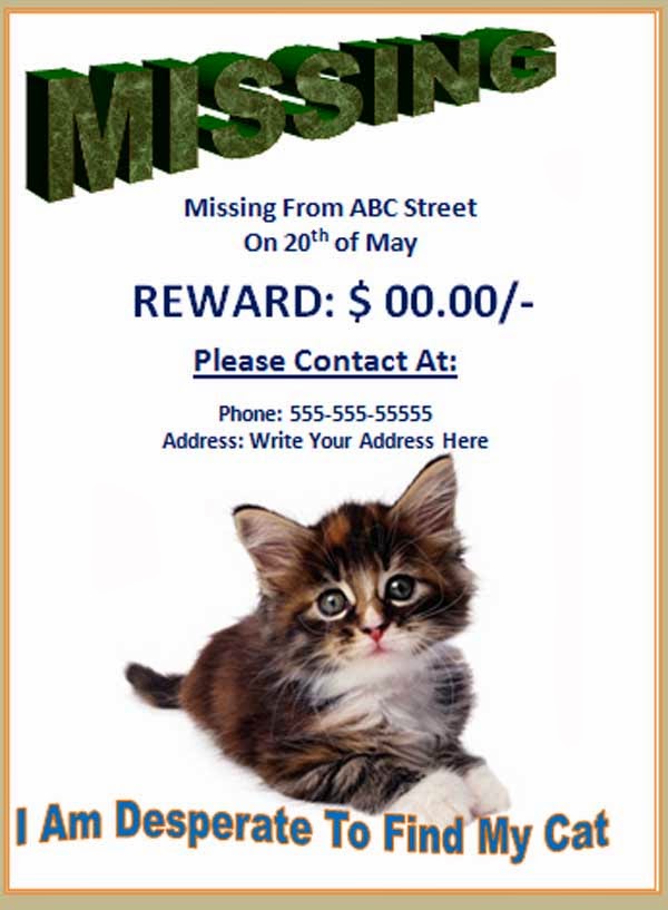 How to find a missing cat