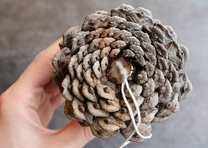 love, laurie: d.i.y. pine cone owl ornament