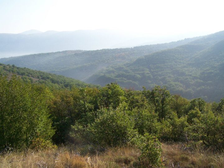 Quelli di Archippe: PERCORSI (autunnali) tra Storia, Natura e Mito