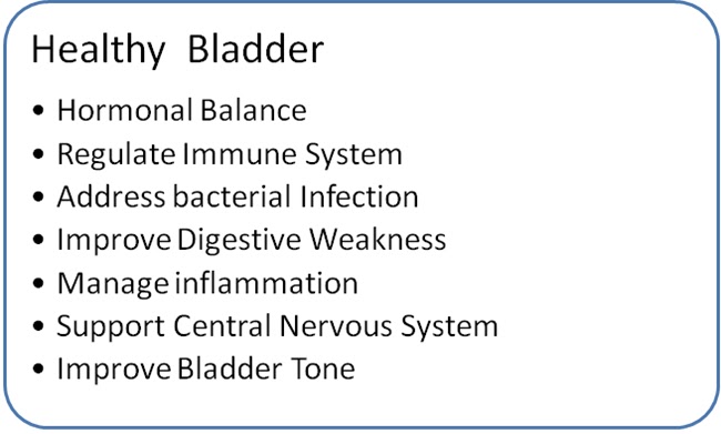 Weight Loss Queen: Natural Support for Bladder Infections