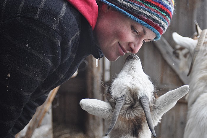 The Knitty Gritty Homestead: ::this moment::goat kiss