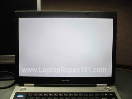 LCD Screen Turned Completely White - All Things About Laptop