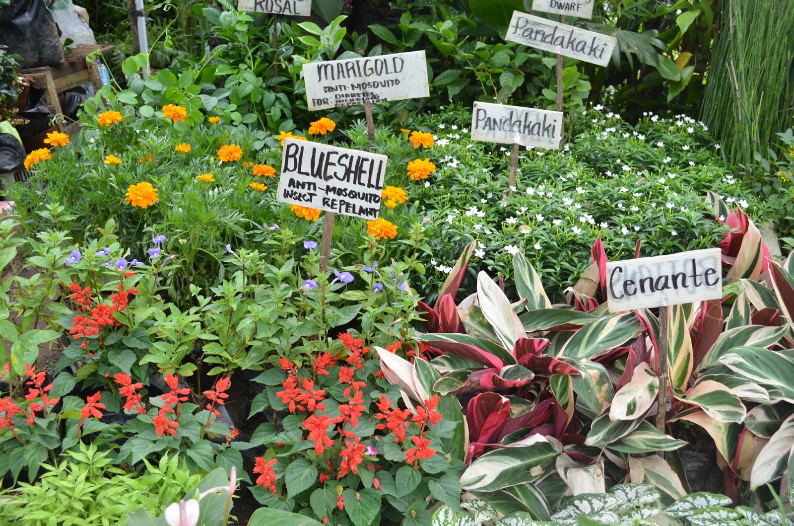 Mahogany Market at Tagaytay