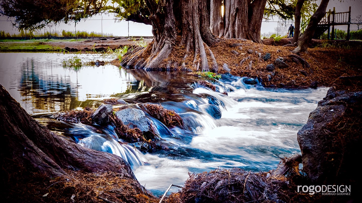 Jaime Ramos Méndez: Donde el Lago de Camécuaro, municipio de ...