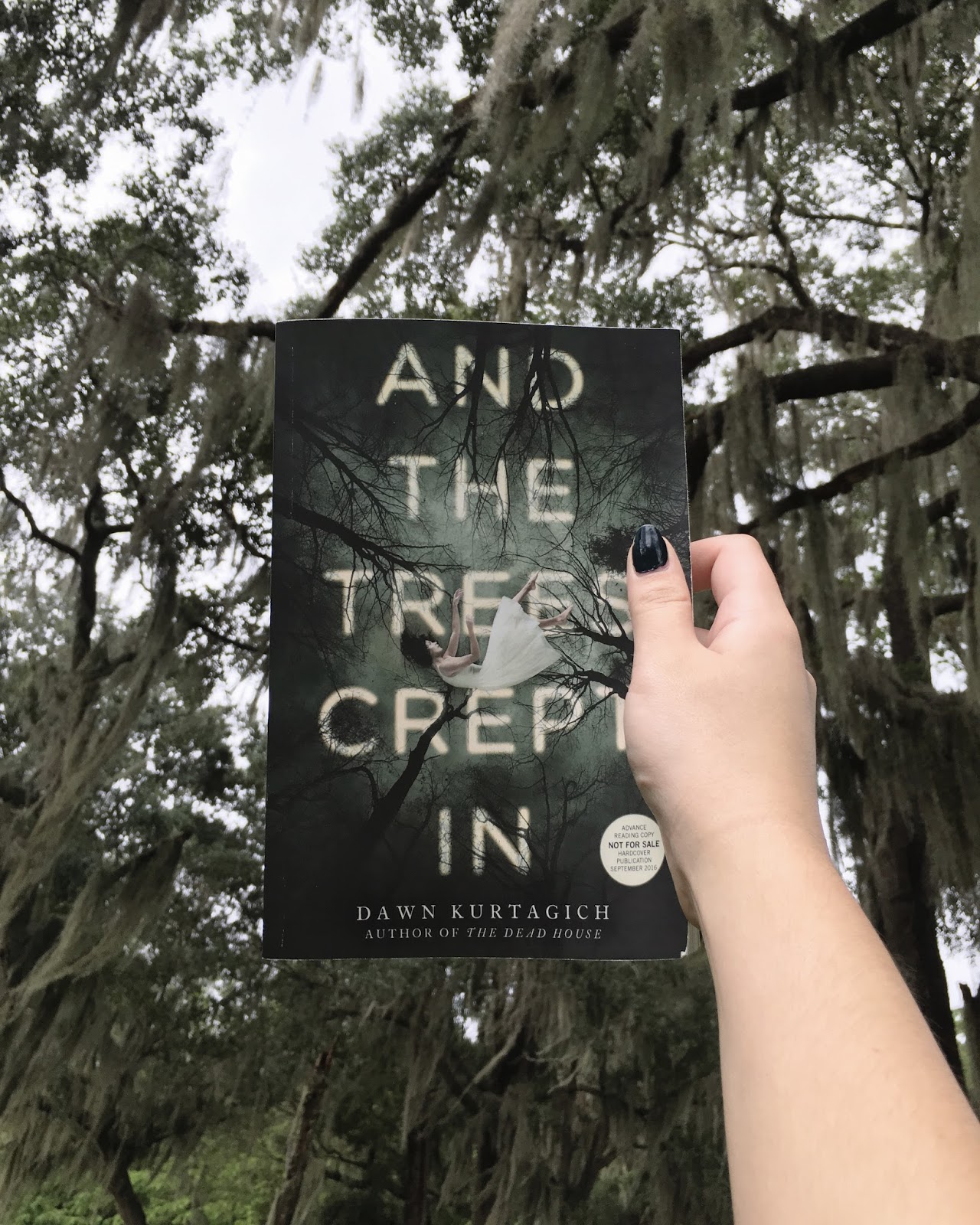 A Book and a Cup of Coffee: ARC Review: And the Trees Crept In