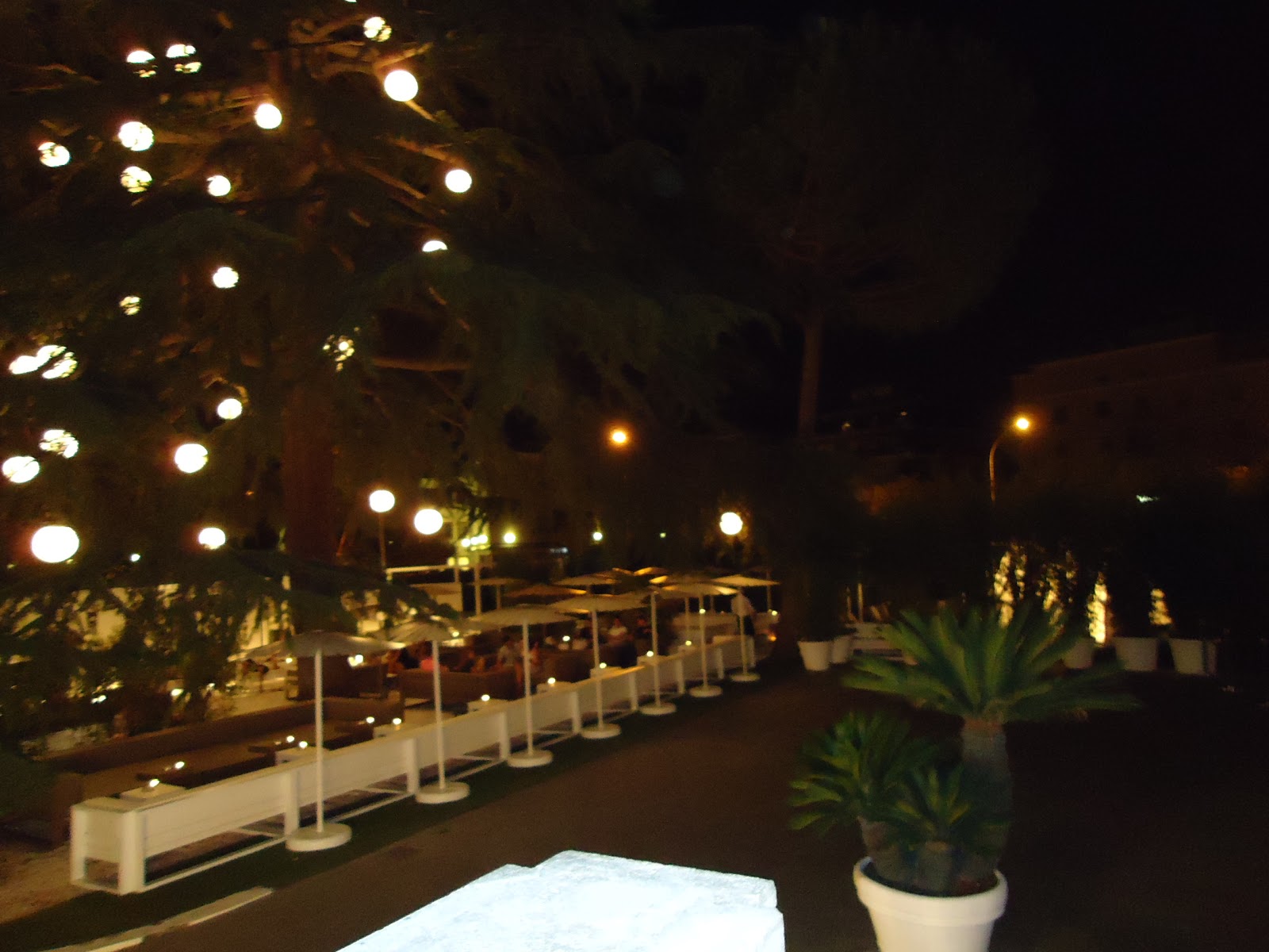 MUSTerizadas: Momo Republic, restaurante de visita obligada en Roma