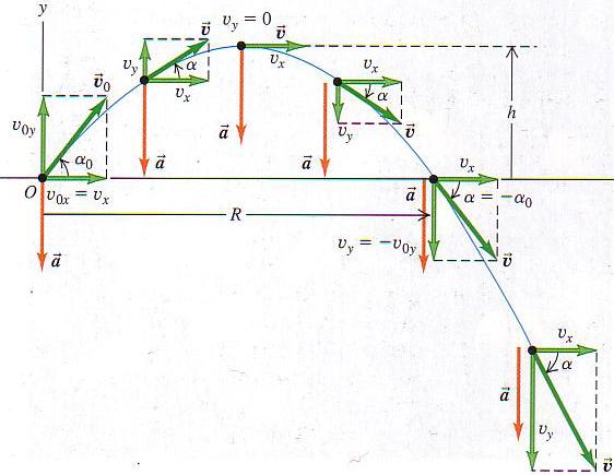 Matemáticas y Física : Movimiento de proyectiles