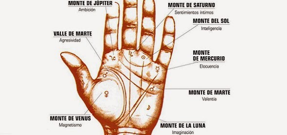 APRENDE SENCILLAS TÉCNICAS PARA LEER LA MANO | Mhoni Vidente
