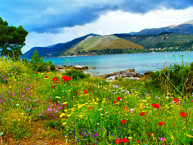 The passion of colors: Photos from Spring in Greece!